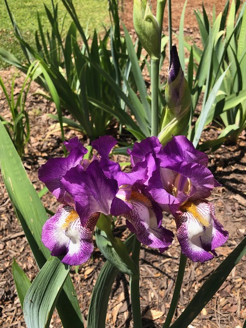 Kathryne Leach – Presenting the truth of Christ in us that makes ...